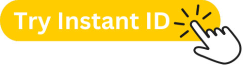 Unveiling the Power of Instant ID: A Comprehensive Guide - InstantID